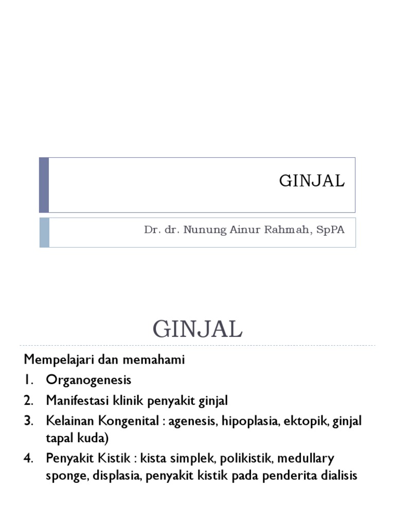 Penyakit dan Kelainan Ginjal Terlengkap | PDF | Pengembangan Diri ...