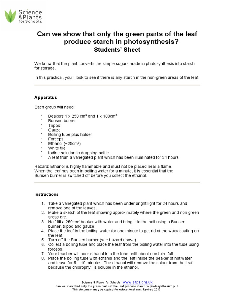 Photosynthesis Starch Test Guide | PDF | Leaf | Starch