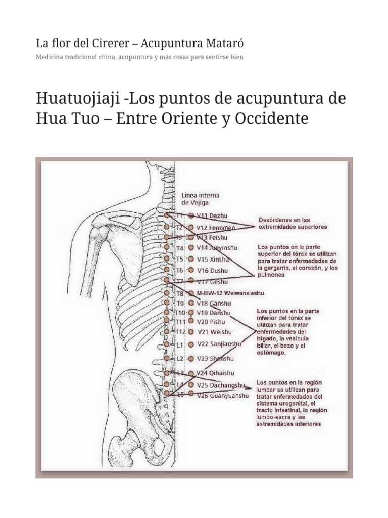 Puntos Huato Jia Ji | PDF | Anatomía | Anatomía humana