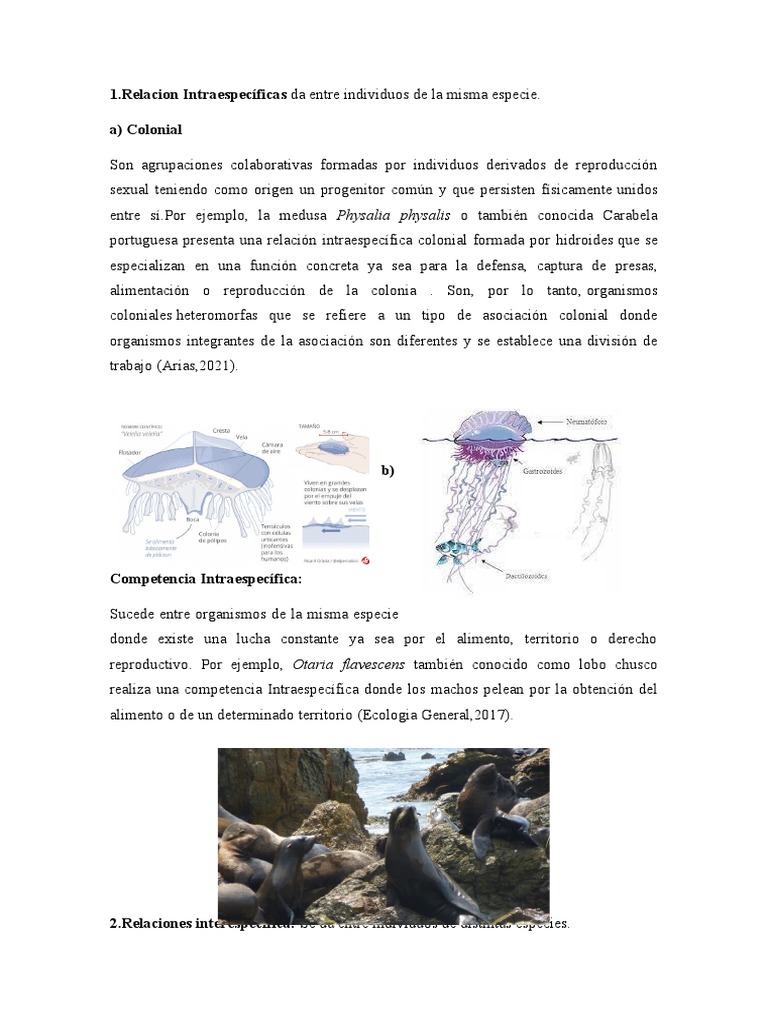 Relacion Intraespecifica | PDF | Biogeografia | Ecología