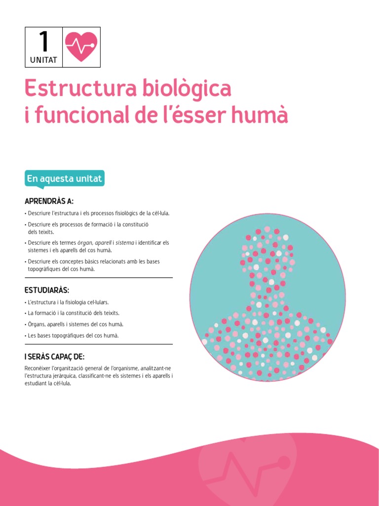 Anatomofisiologica I Patologica - Estructura Biologica Del Ser Huma | PDF