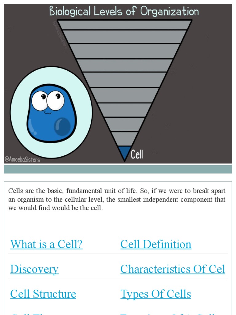 Cell | PDF | Cell (Biology) | Cytoplasm