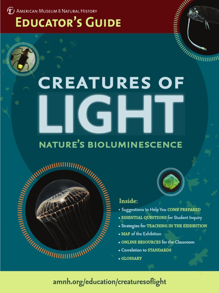 Creatures of Light - EducatorsGuide | PDF | Fluorescence | Light