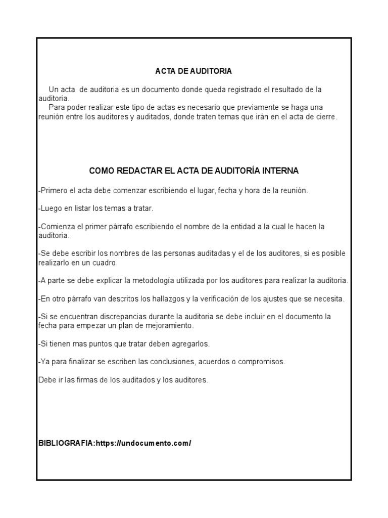 Acta de Auditoria | PDF