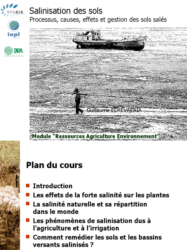 Causes et solutions de la salinisation | PDF | Irrigation | Sel