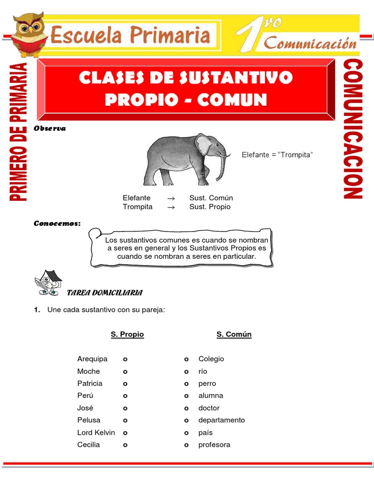 Clases de Sustantivo para Primero de Primaria | PDF
