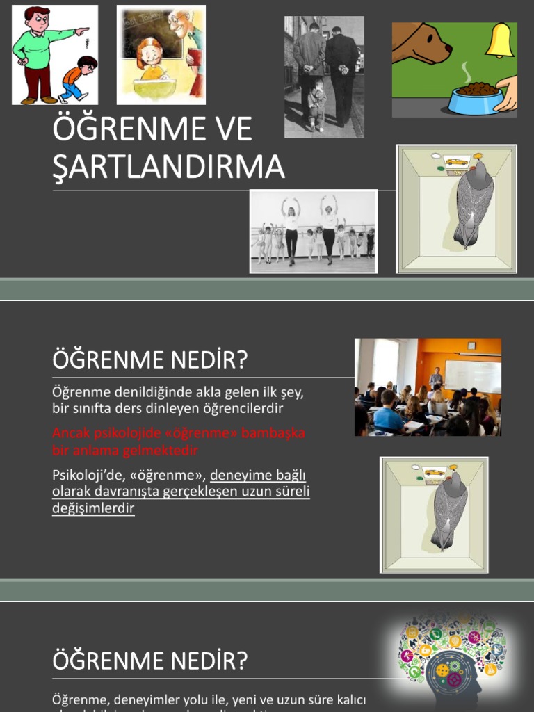 7 Ogrenme | PDF