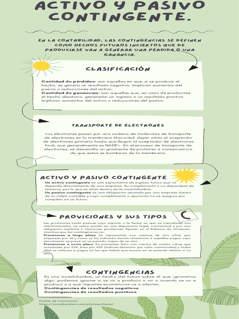 Activo y Pasivo Contingente. 1 | PDF | Contabilidad | Business