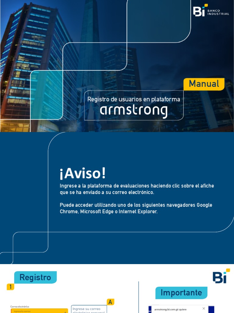 Manual Bi Armstrong | PDF