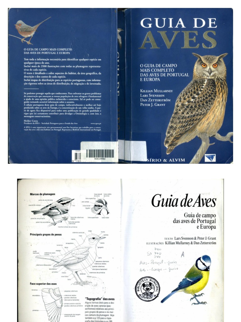 Guia de Aves Doc 1 | PDF