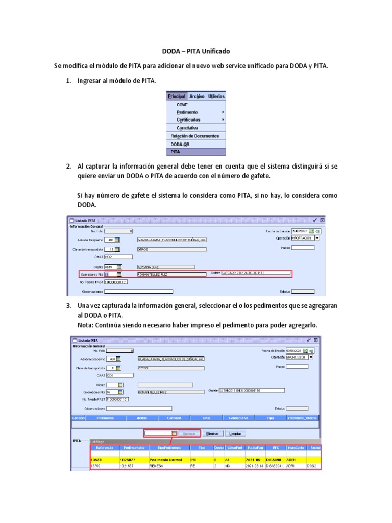 DODA-PITA Unificado Caaarem3 | PDF