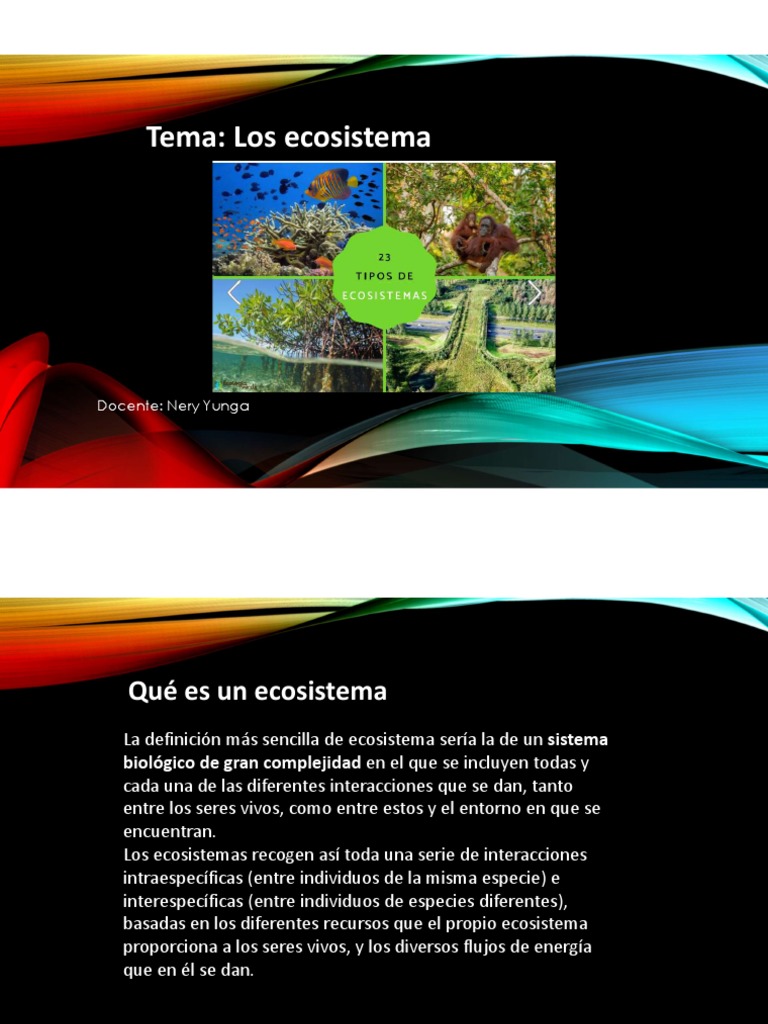 Clase Invertida | PDF | Ecosistema | Ecología