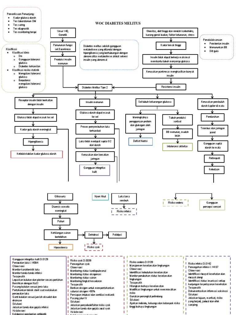 Woc Diabetes Melitus | PDF