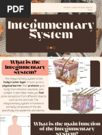 Integumentary System-GRADE 6 MARCOS | PDF | Skin | Integumentary System