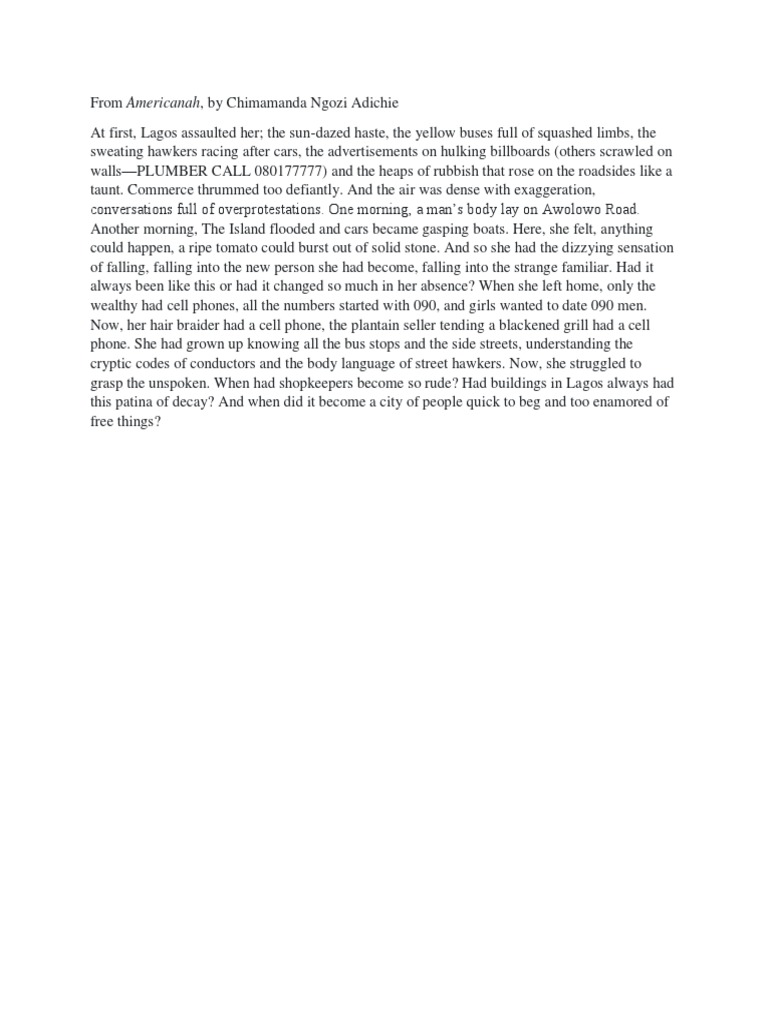 Excerpt From Americanah by Chimamanda Ngozi Adichie | PDF