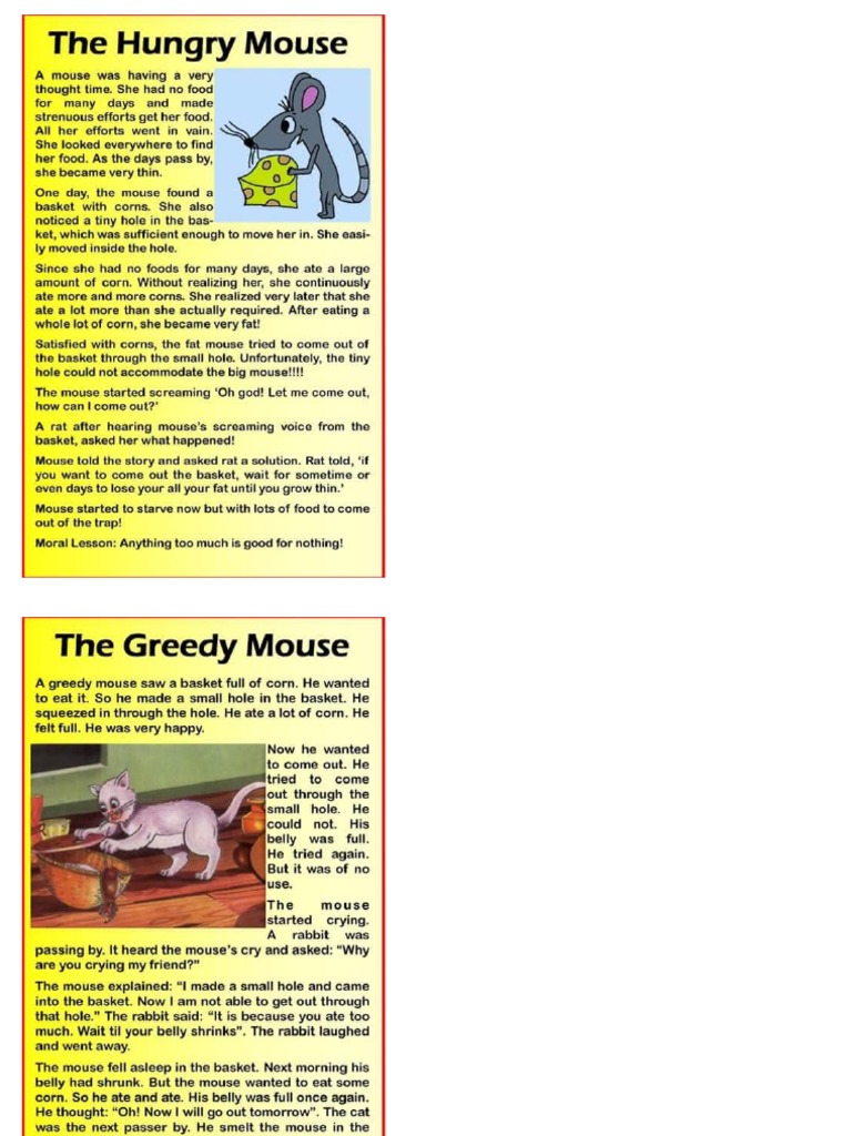 THE STORY BOOK Technical Specifications & Analysis