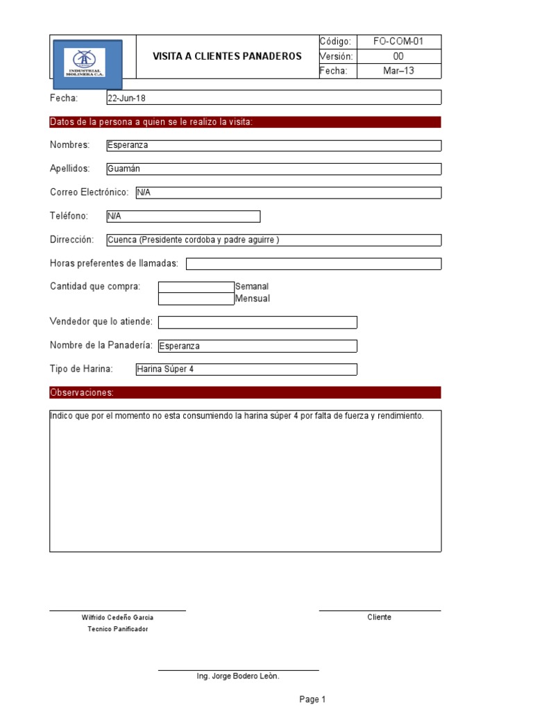 Formato Visita Cliente | PDF | Panes