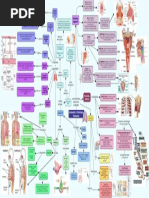 Anatomia Del Aparato Genital Femenino | PDF