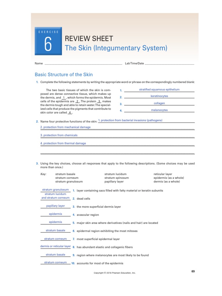 M06 Mari2603 07 Se C06 | PDF | Skin | Epidermis