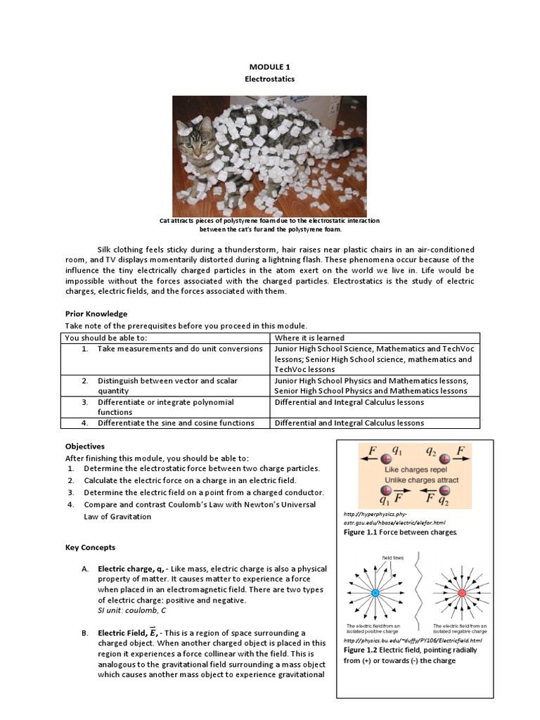 Electrostatics: Understanding the Forces Between Charged Particles ...