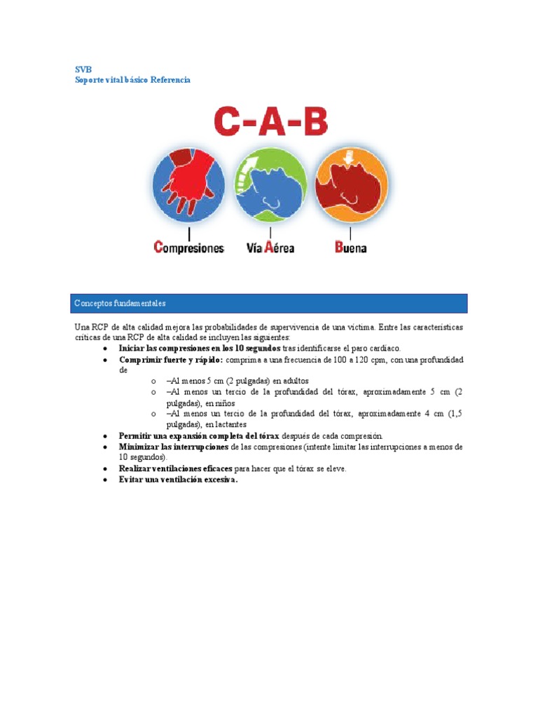 BLS | PDF | Reanimación cardiopulmonar | Medicina CLINICA