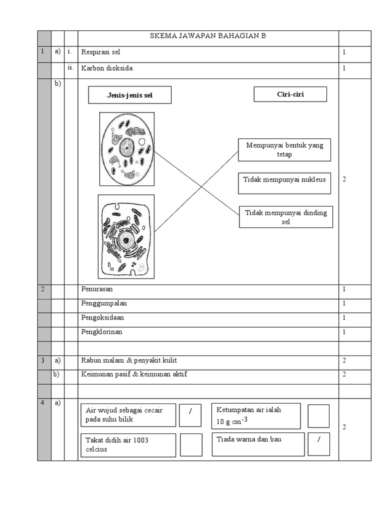 Skema Jawapan Bahagian B T2 | PDF
