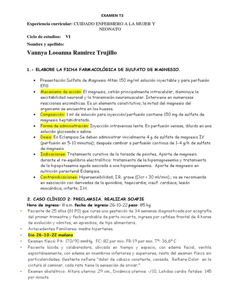 Examen t3. Ramirez Trujillo | PDF