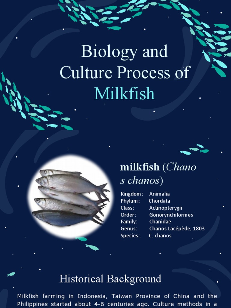 Aquaculture Report | PDF | Spawn (Biology) | Aquaculture Aquaculture Report | PDF | Spawn (Biology) | Aquaculture