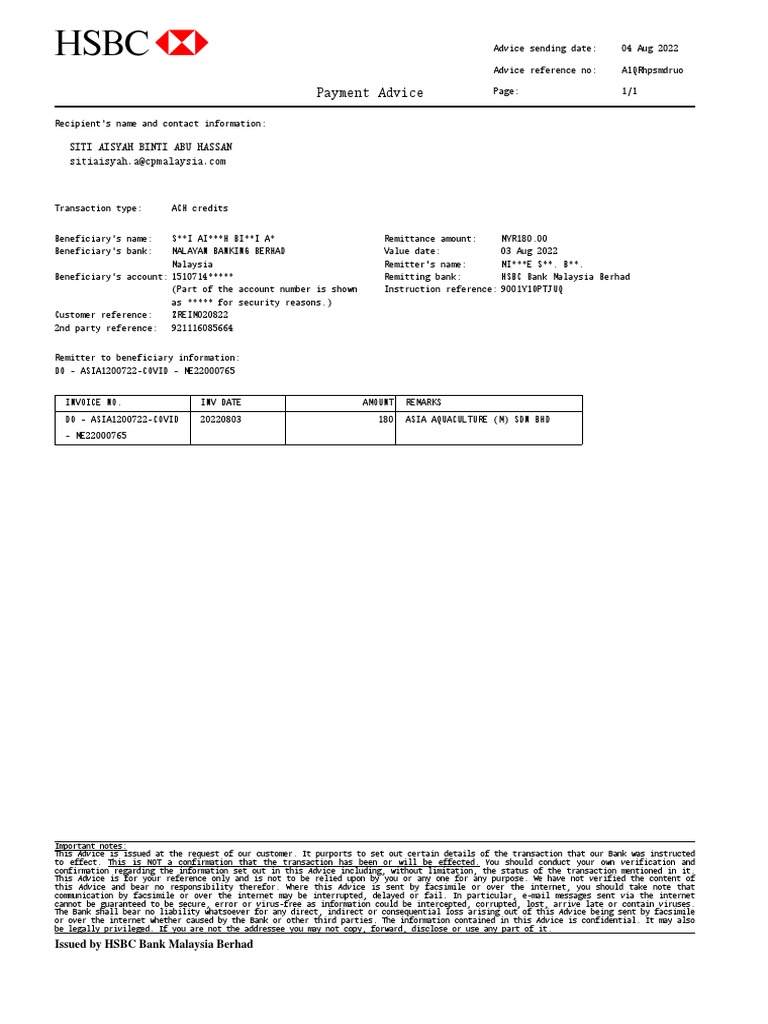 Payment Advice 3 | PDF