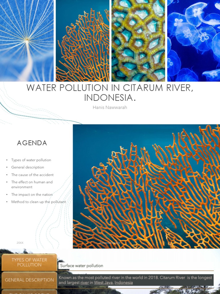 Citarum River, Indonesia (E21A0752) | PDF