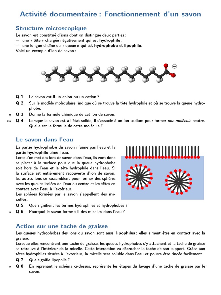 Activite Documentaire Savon - Eleve | PDF | Savon | Ion