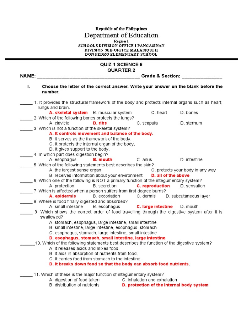 Science 6 Q2 Wk1-2 Quiz 1 | PDF | Skin | Integumentary System