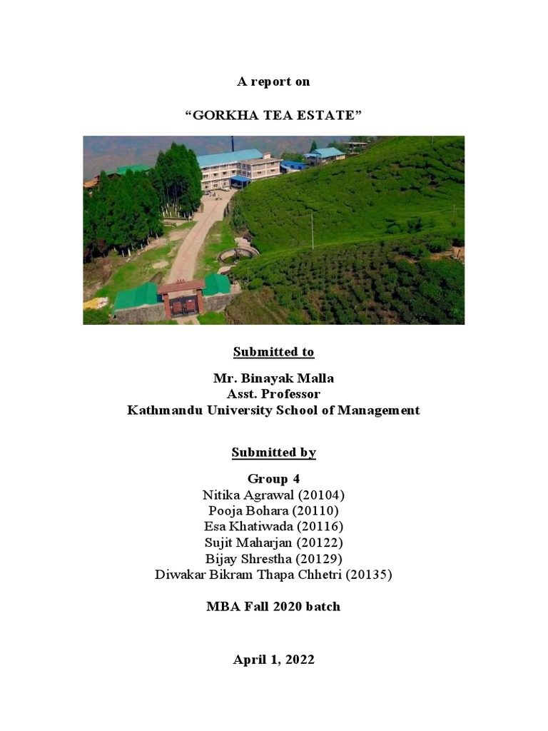 Gorkha Tea Estate's Market Entry into France | PDF | Tea | Nepal