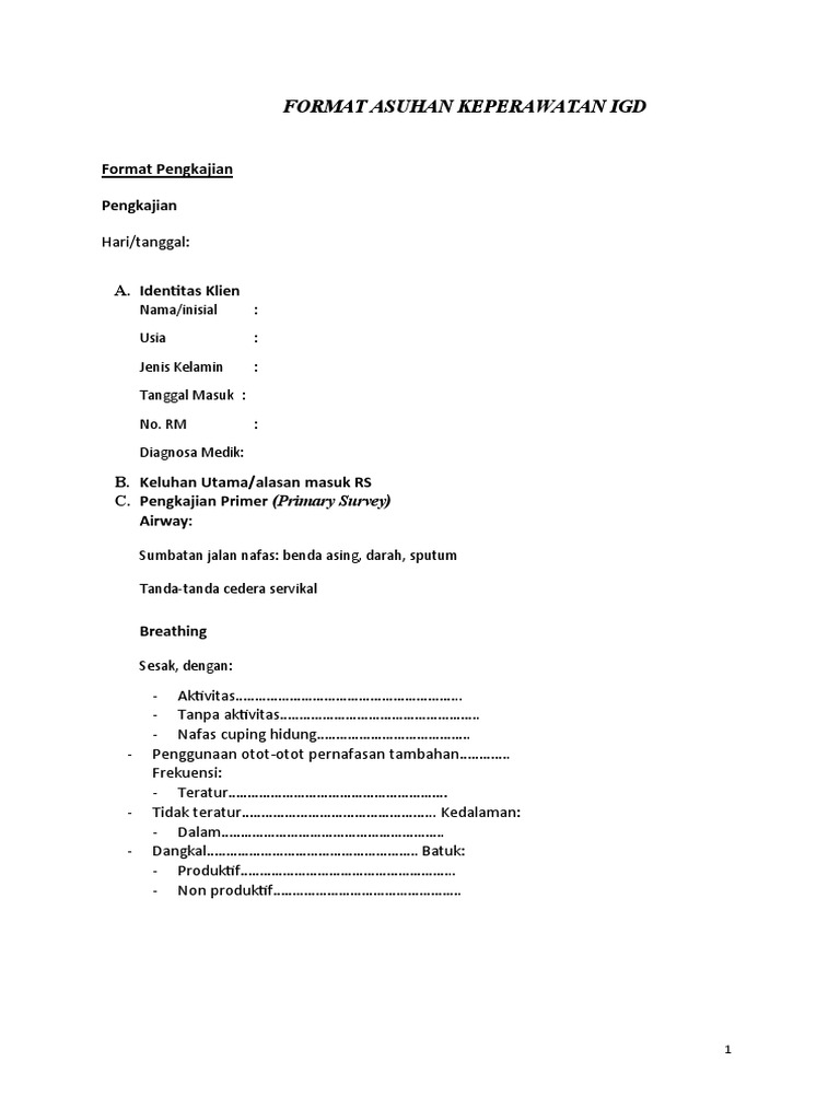 Format Asuhan Keperawatan IGD | PDF