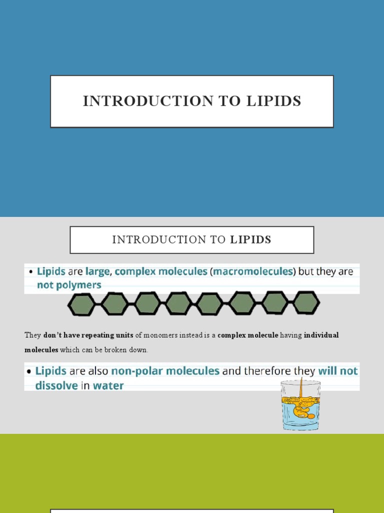 Introduction To Lipids | PDF | Triglyceride | Fat