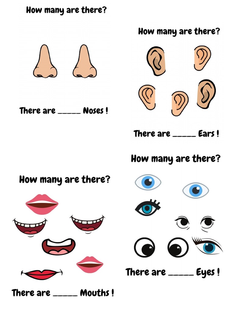 Body Parts Sheets | PDF