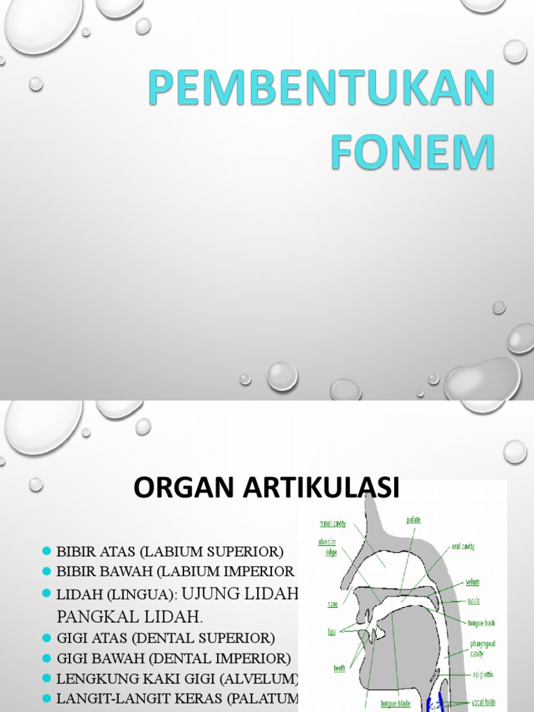 Pembentukan Fonem | PDF | Seni & Disiplin Bahasa