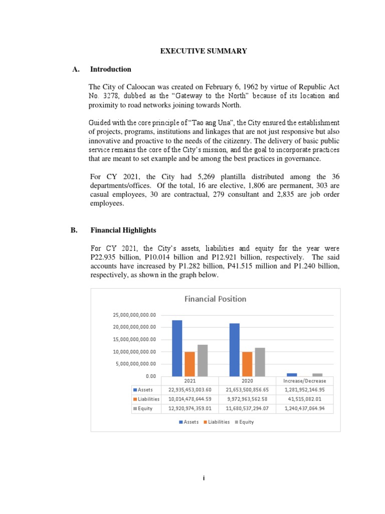 Caloocan City Executive Summary 2021 | PDF | Audit | Depreciation