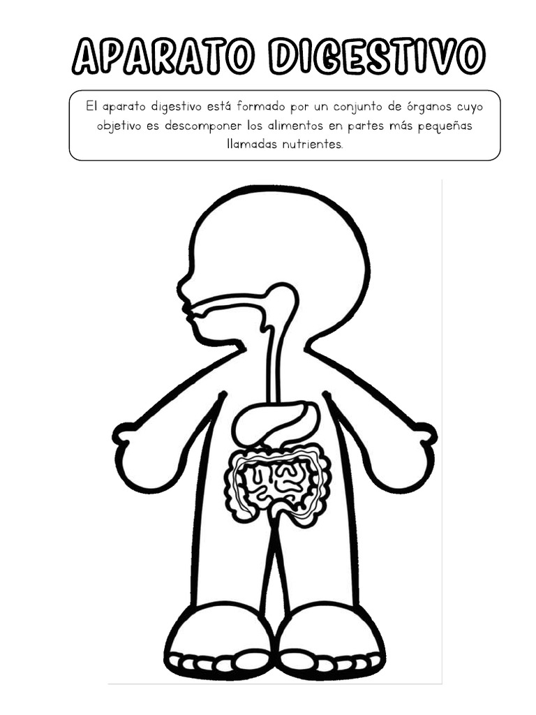 Aparatos de La Funcion de Nutrición | PDF