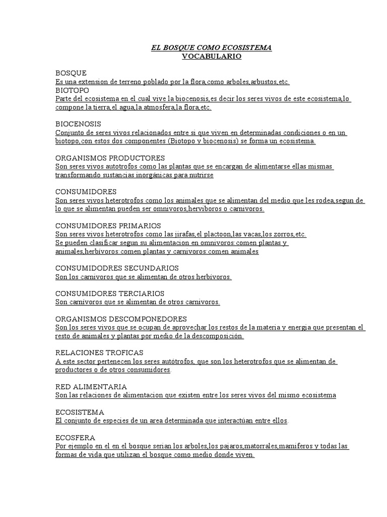 Vocabulario Bosque | PDF