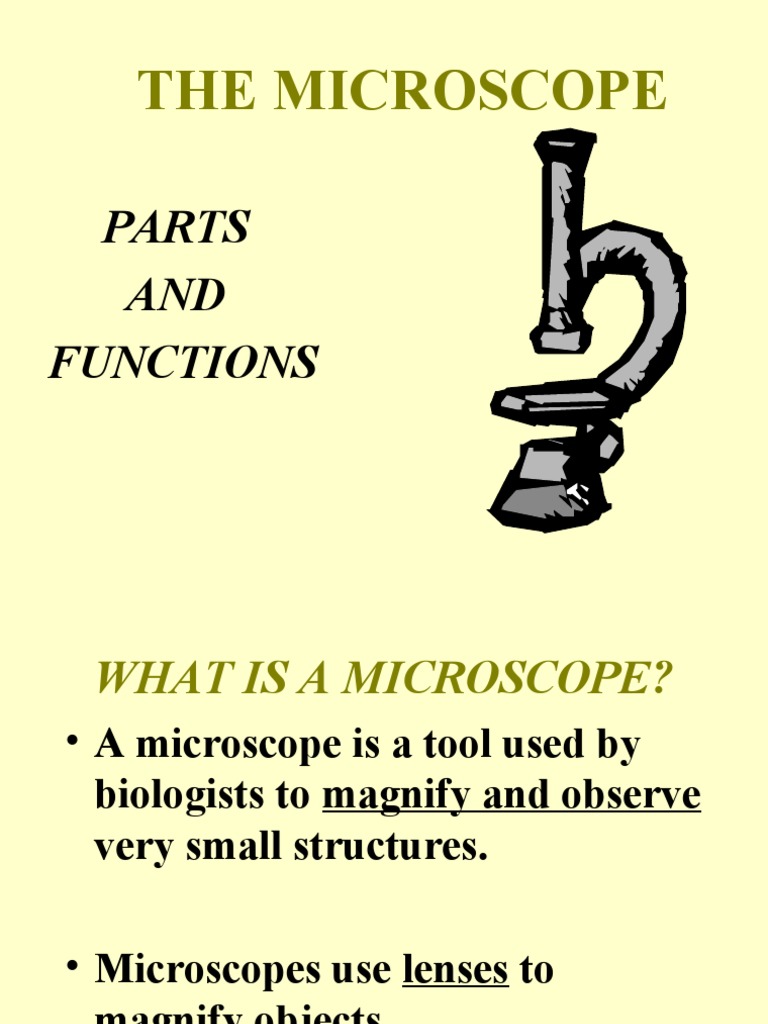 Microscope Parts and Usage Guide | PDF | Microscope | Electromagnetism