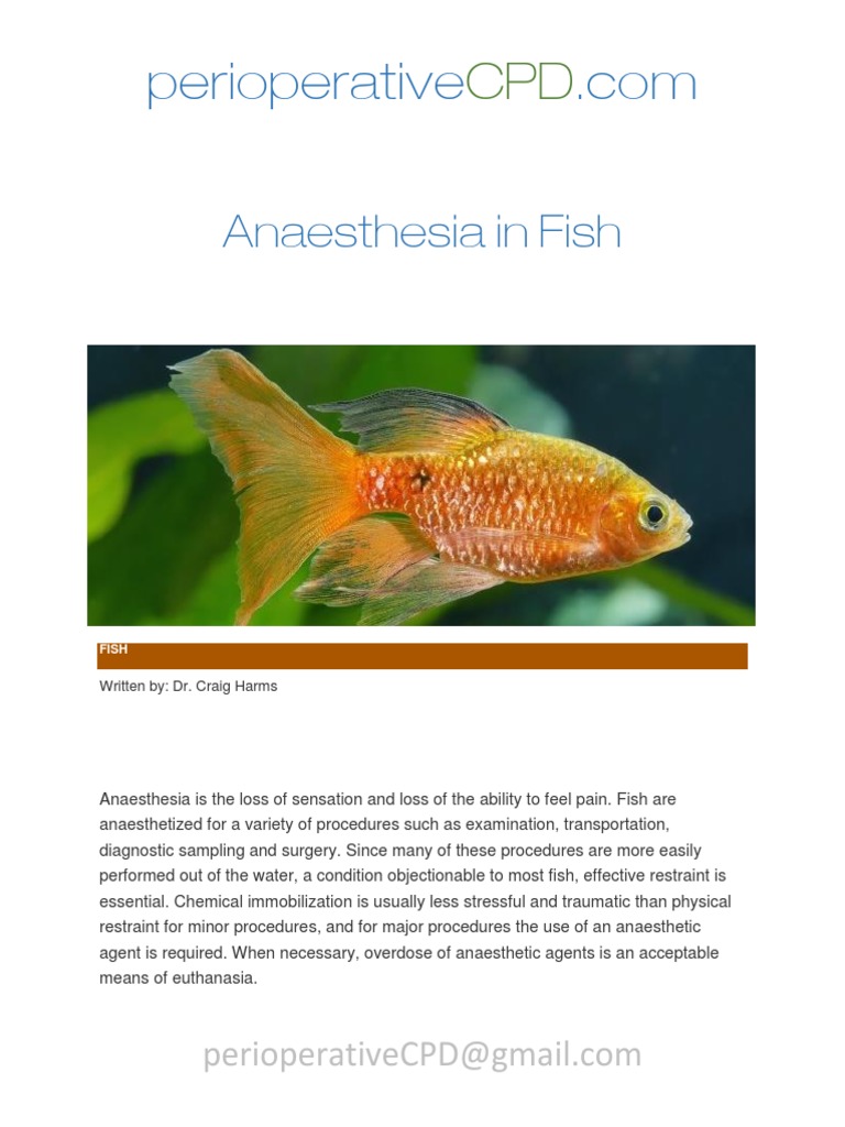 Anaesthesia in Fish | PDF | Anesthesia | Fish