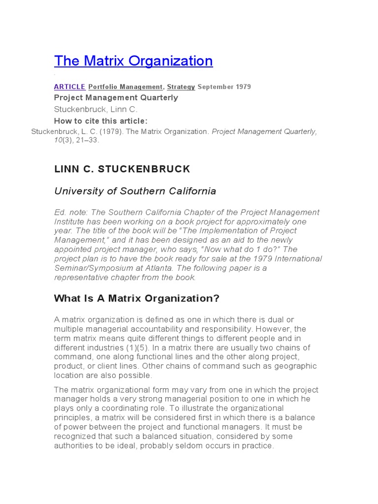The Matrix Organization | PDF | Project Management | Matrix (Mathematics)