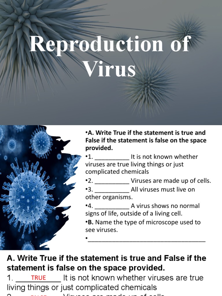 w6.1 How Virus Invades The Cell | PDF | Virus | Bacteriophage