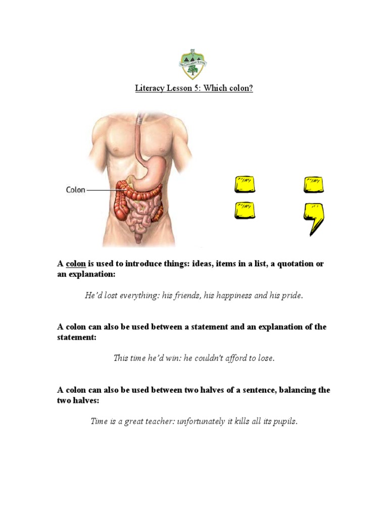 Colon & Semi Colons Worksheet | PDF