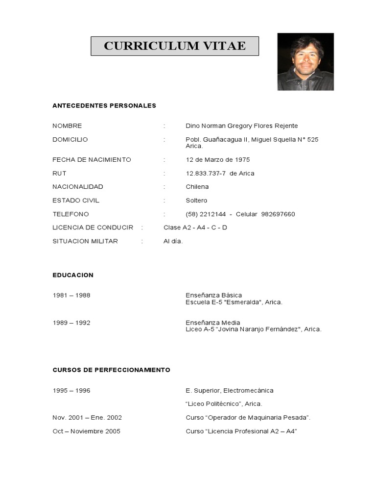 Curriculum Vitae - Dino Flores Rejente | Descargar gratis PDF | Equipo industrial | Equipos de ...