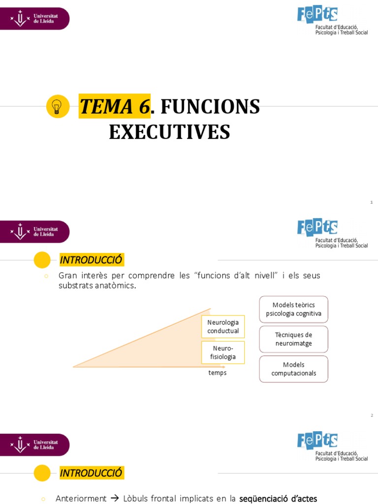 Tema 8 Funcions Executives | PDF