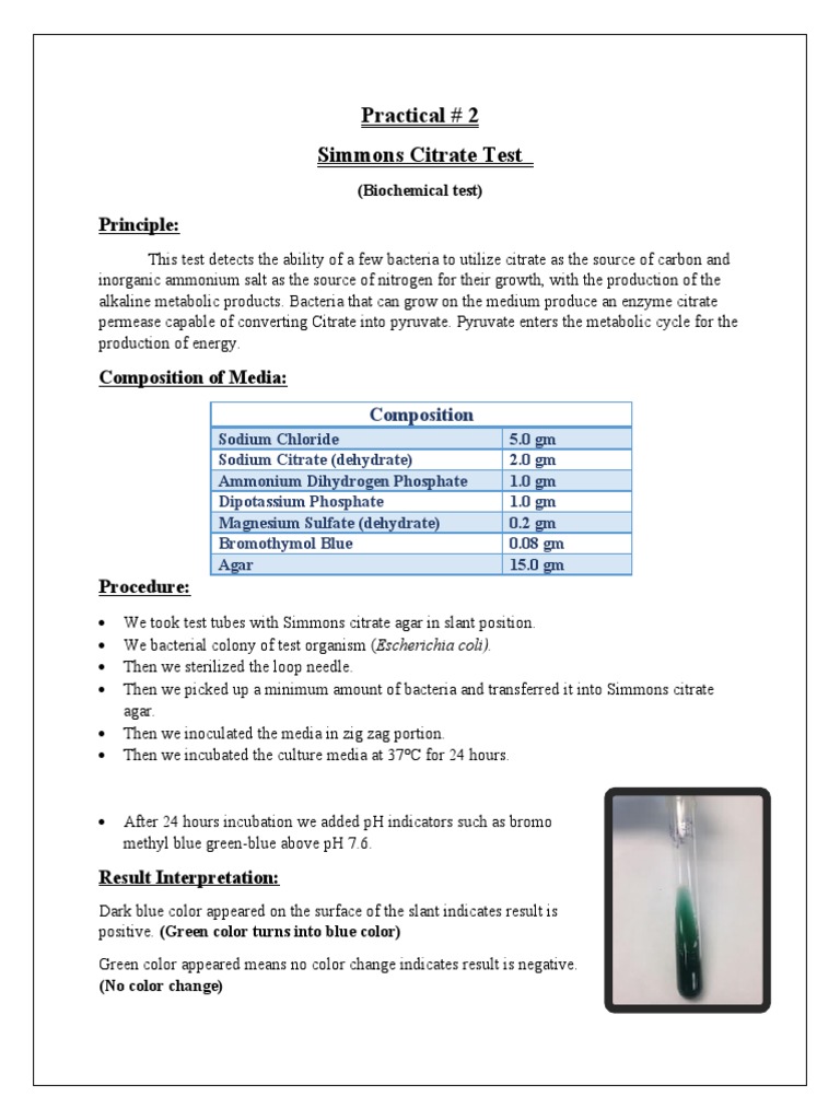 Simmons Citrate Test MPN | PDF | Chemistry | Microbiology