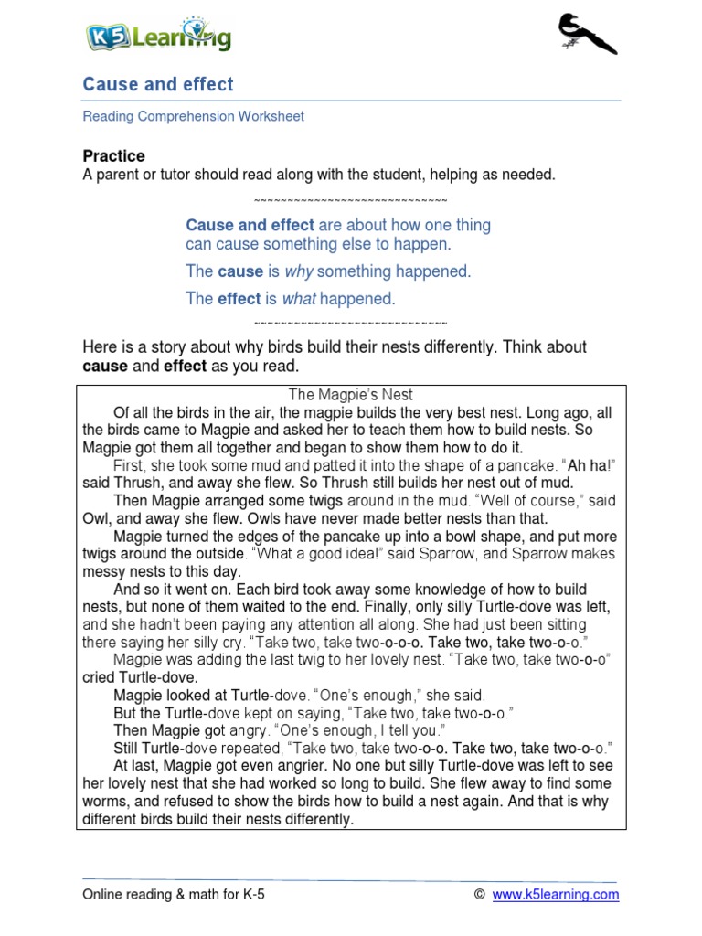 Grade 3 Cause Effect A | PDF | Birds
