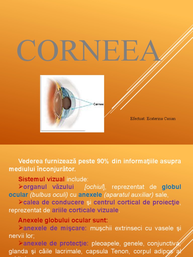 Corneea | PDF